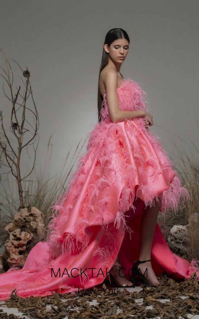 Isabel Sanchis Barone Dress