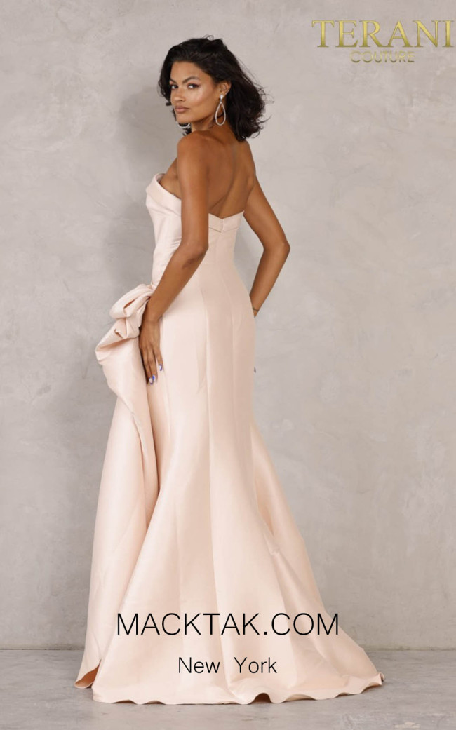 Terani 2111P4019 Dress